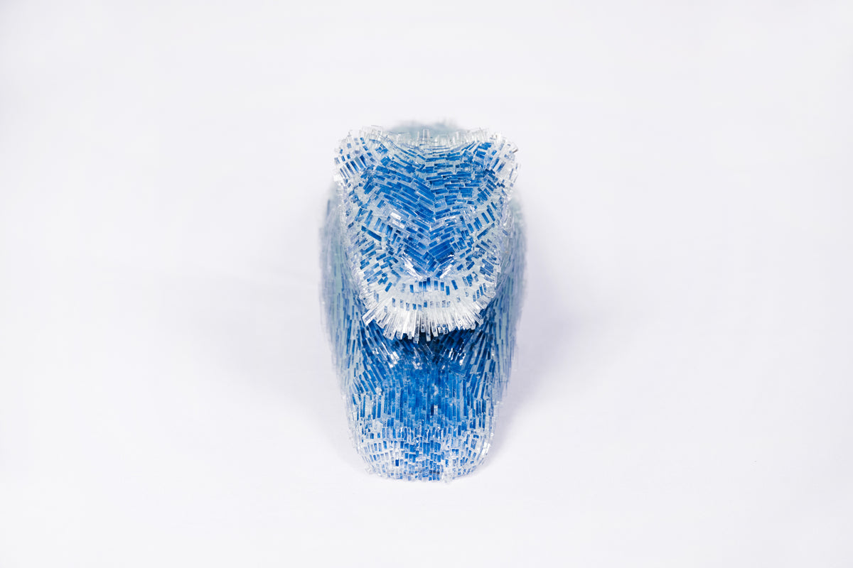 Ty Shee Zen- The Curious Cat by MARYSE MAILLARD FÉLIX, available only